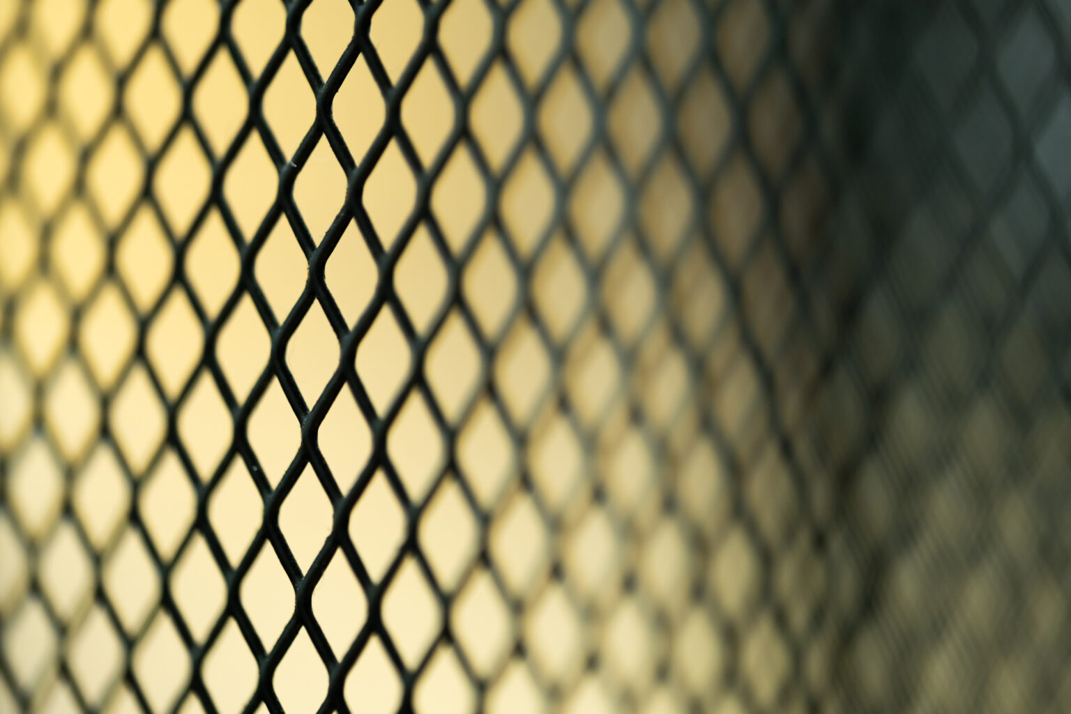 Why Stainless Steel Security Mesh Is the Best for Durability